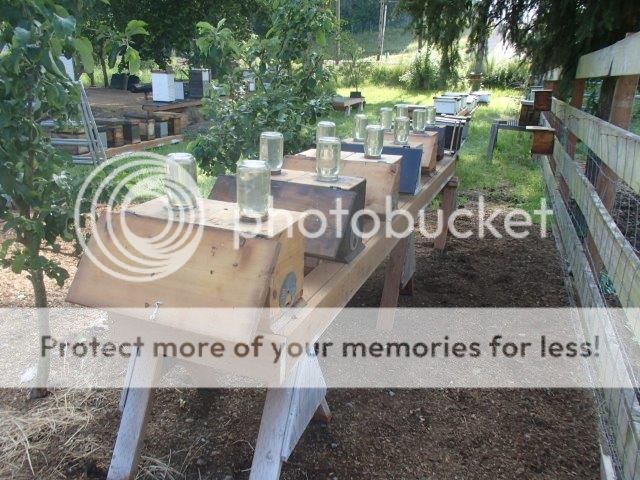 mini nuc home made frame feeders | Beesource Beekeeping Forums